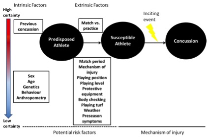 The concussion puzzle: is there a risk profile for sport-related ...