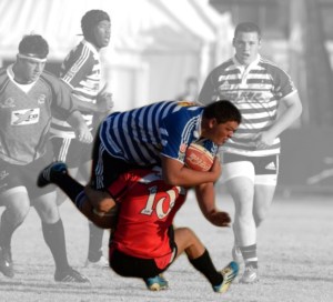 The Translating Research into Injury Prevention Practice Framework ...